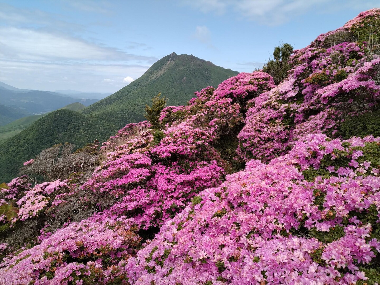 由布岳（東峰）・由布岳（西峰・豊後富士）・南平台・鶴見岳 / h.bloodさんの由布岳・鶴見岳の活動データ | YAMAP / ヤマップ