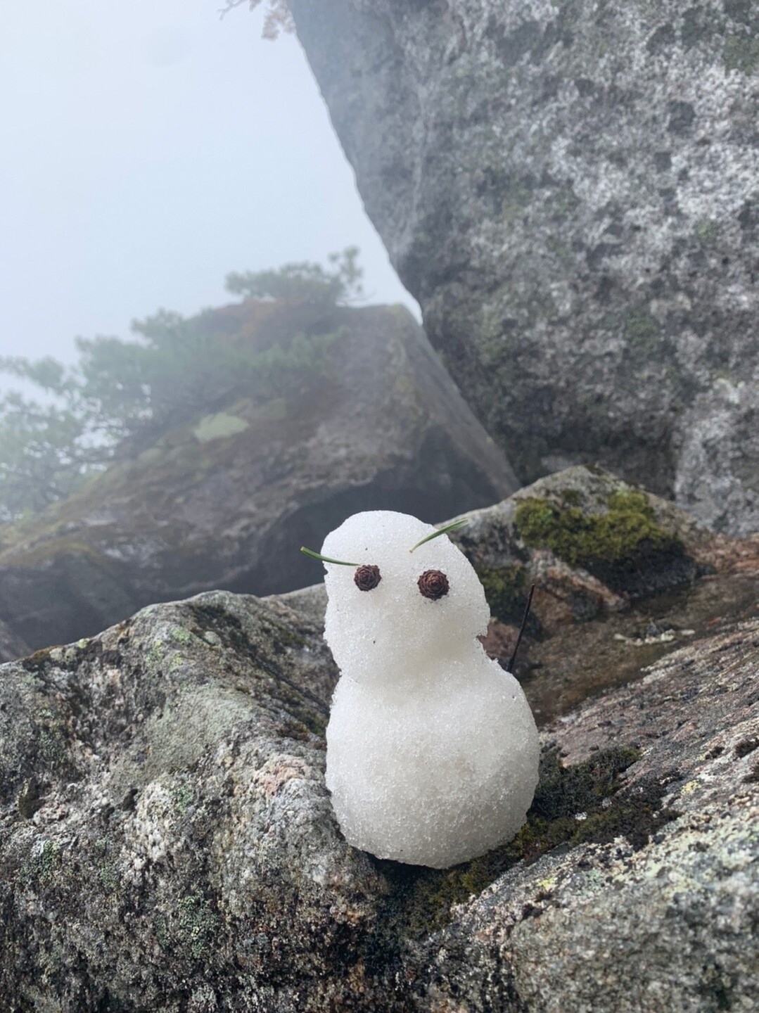 木曽駒ヶ岳 テント泊の動画です。 htt... / ススムさんのモーメント | YAMAP / ヤマップ