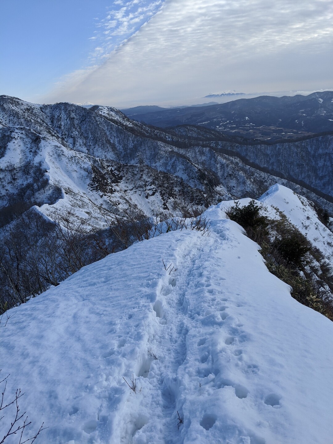 水後山〜大日ヶ岳-2020-01-26 / TATAさんの大日ヶ岳・毘沙門岳の活動データ | YAMAP / ヤマップ
