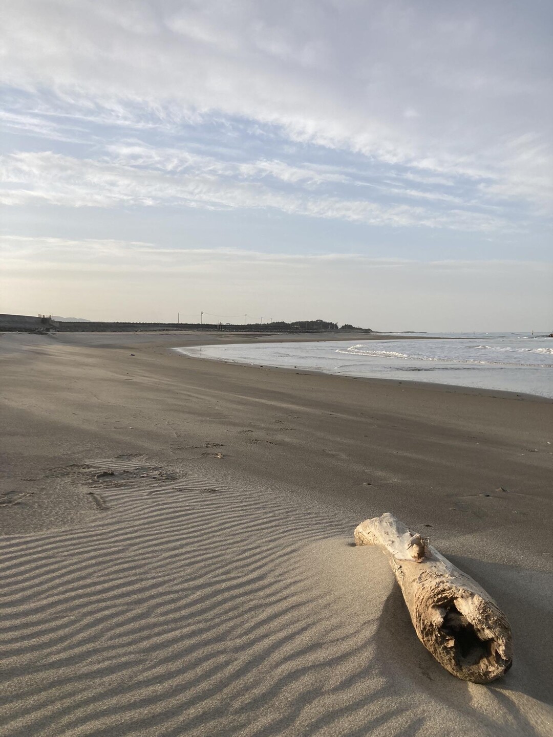 MCT 相馬〜新地セクション (みちのく潮風トレイル) / かなかな0083さんのウォーキングの活動データ | YAMAP / ヤマップ