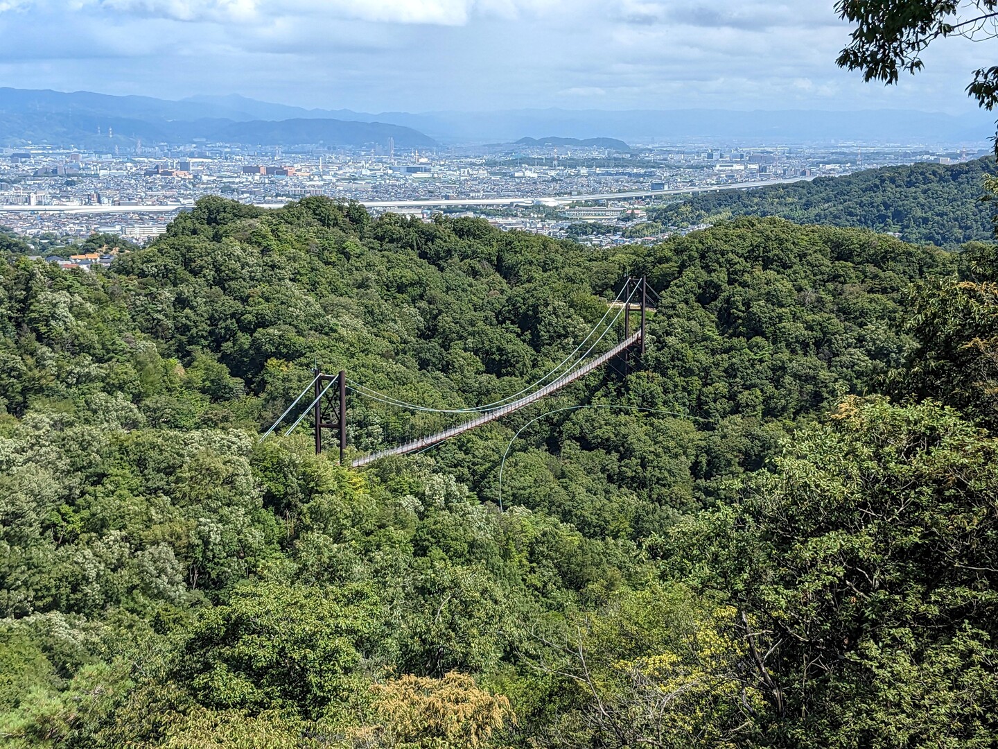 星のブランコ (小判嶺) / KYさんの交野山・国見山の活動データ | YAMAP / ヤマップ