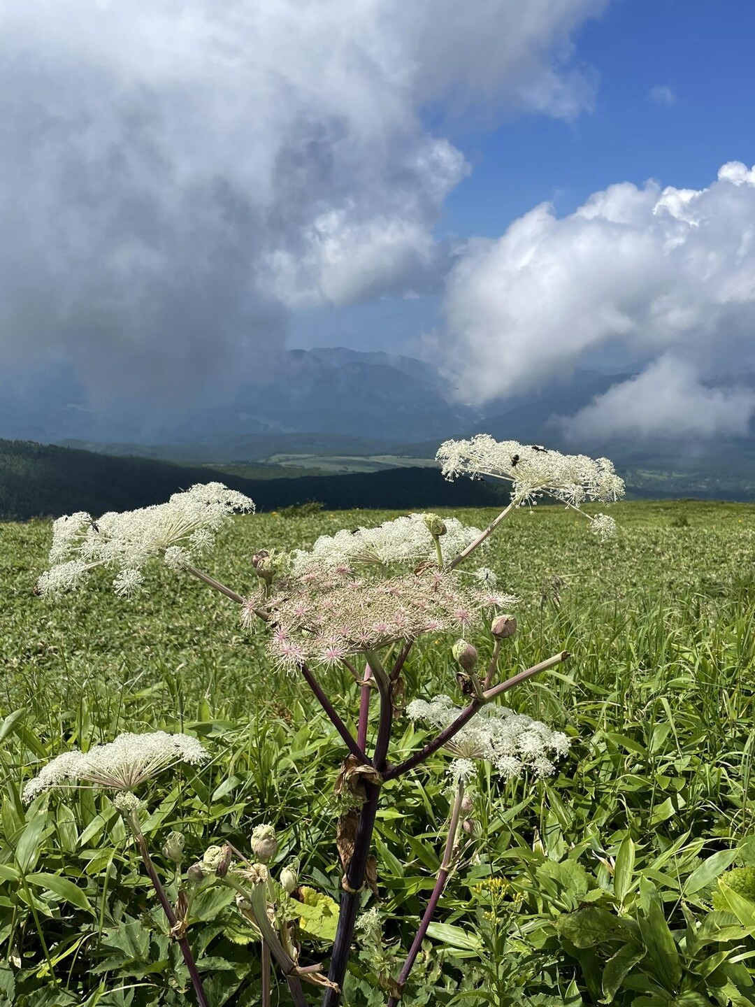 7月30日 あしをのばして長野へgo ... / hiromiさんのモーメント | YAMAP / ヤマップ