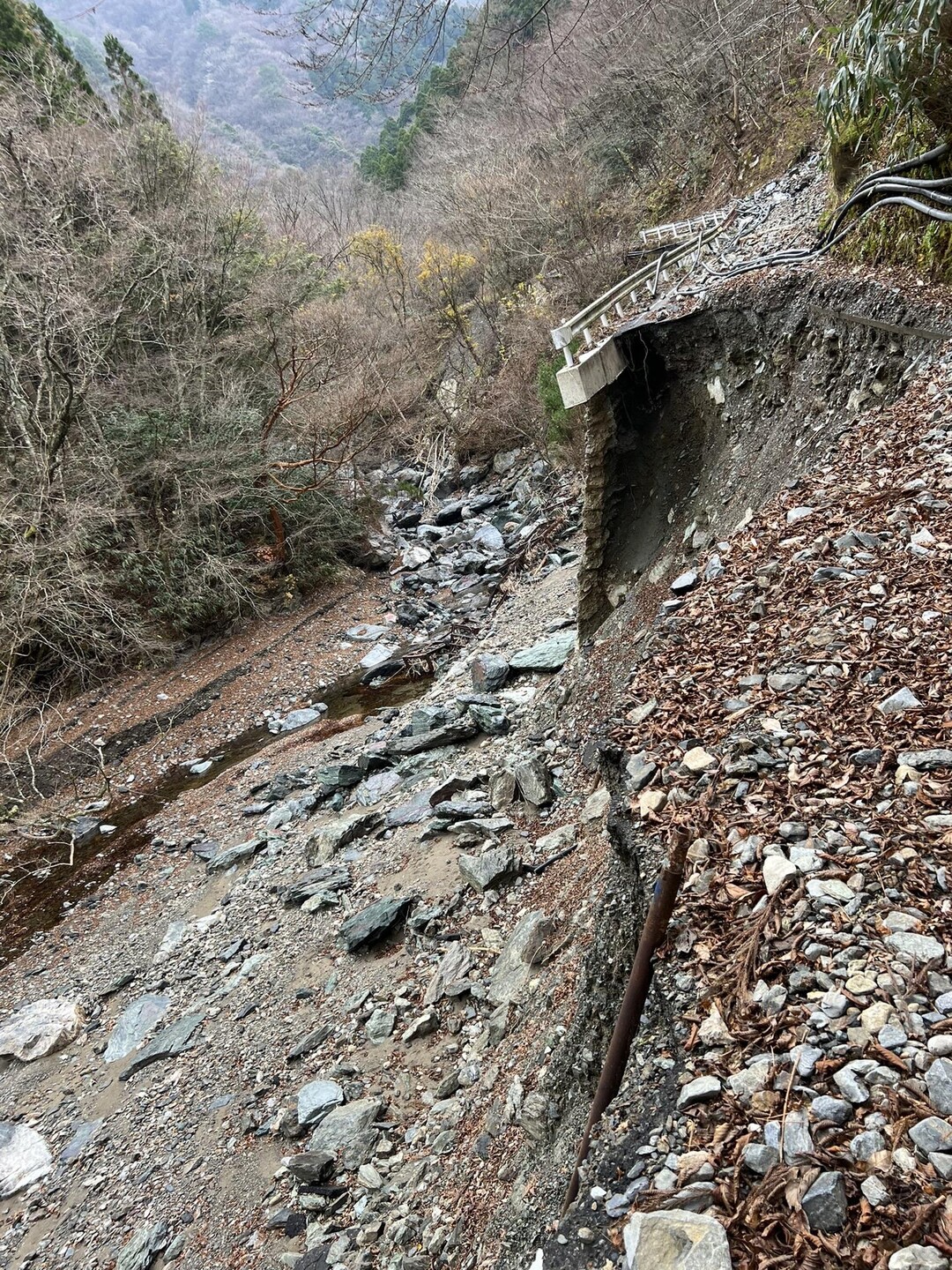 脊陵 白鳥山のウエノウチ谷登山口は9月の... / kyoopoさんのモーメント | YAMAP / ヤマップ