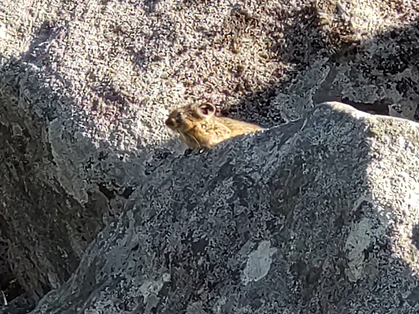 退職してから三百名山さんの投稿したフィールドメモ | YAMAP / ヤマップ