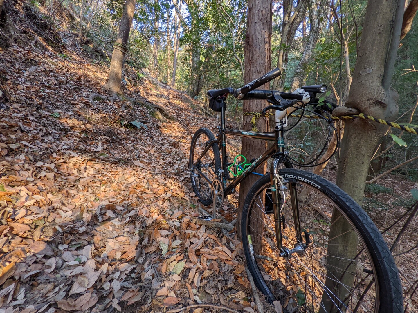 ゆるポタMTBで高文殊山お散歩 / BIK局長さんの四国遍路その18の活動データ | YAMAP / ヤマップ