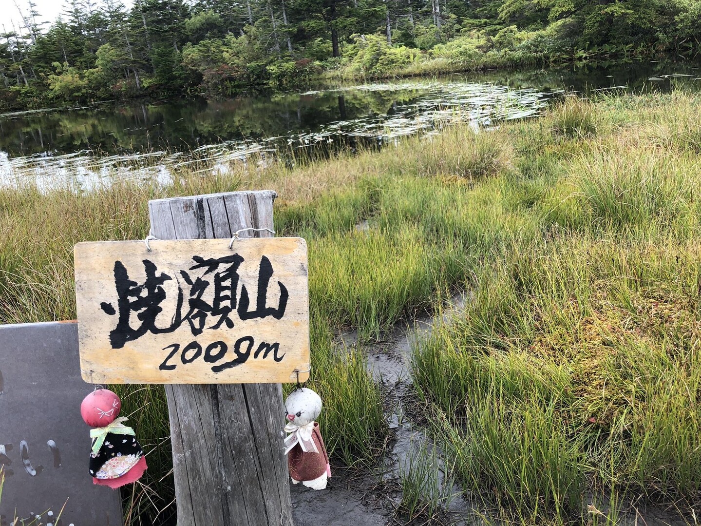 焼額山 / なでしこさんの焼額山の活動データ | YAMAP / ヤマップ