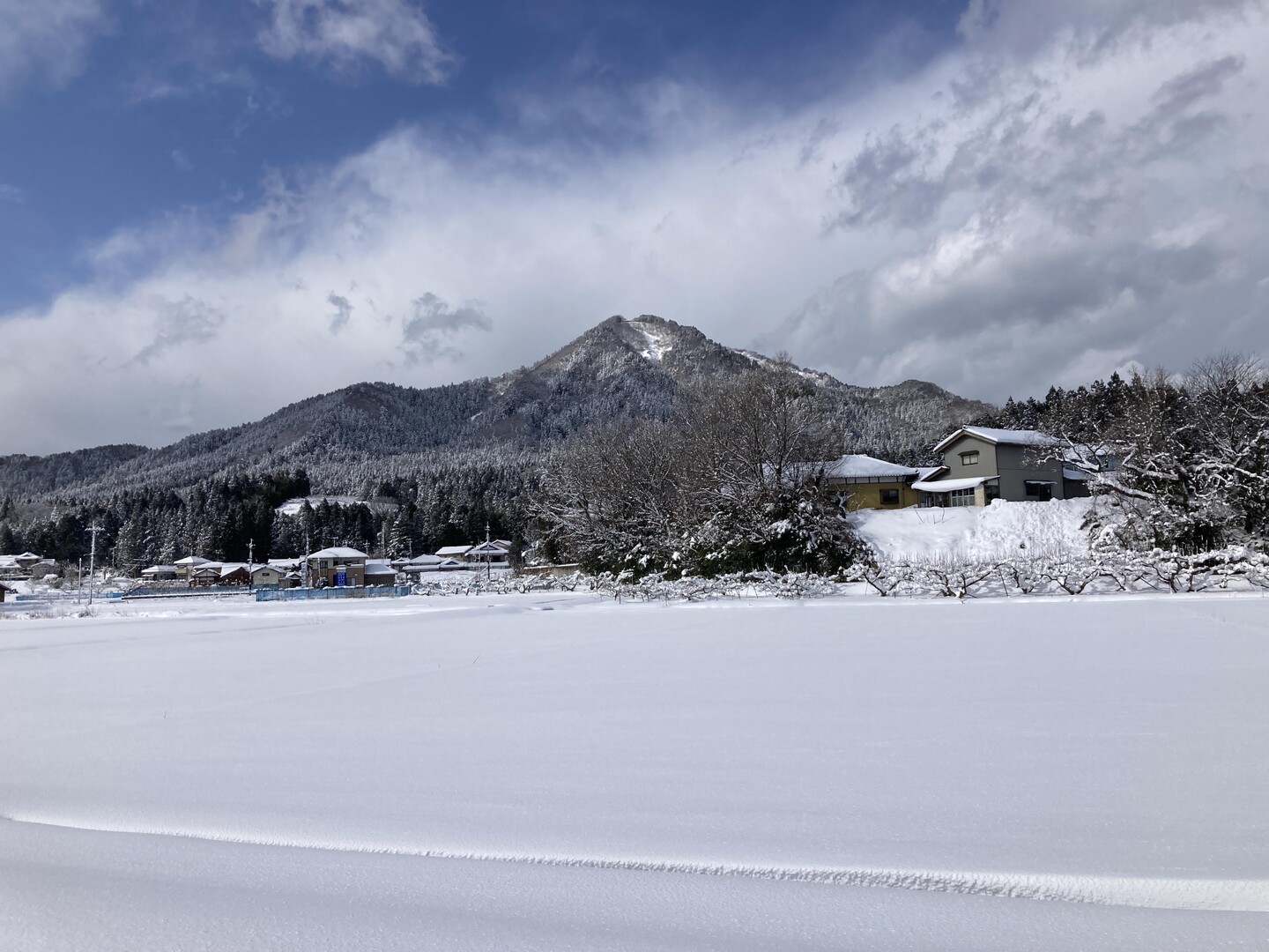 角田山（稲島コース） / hi-chanさんの角田山の活動日記 | YAMAP / ヤマップ