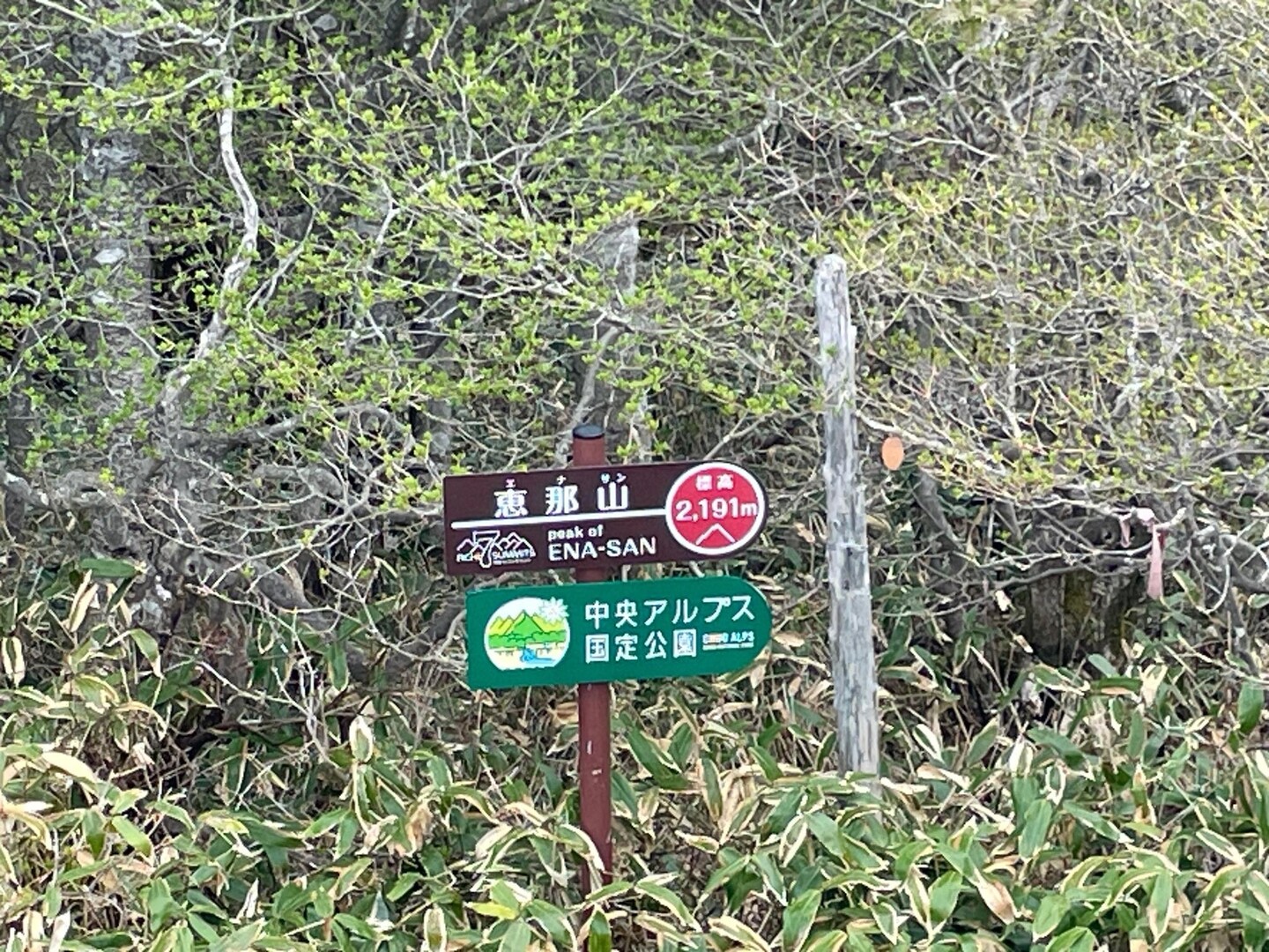 千両山・大判山・恵那山 / blackmanさんの恵那山・大判山・神坂山の活動データ | YAMAP / ヤマップ