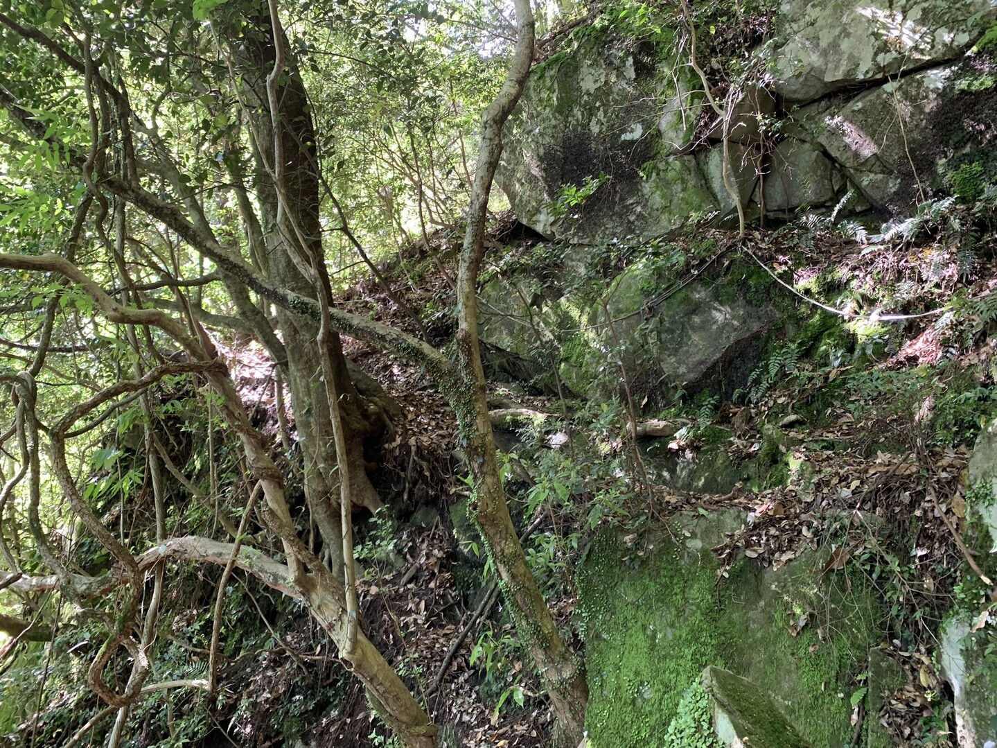 TANAKAさんの投稿したフィールドメモ | YAMAP / ヤマップ