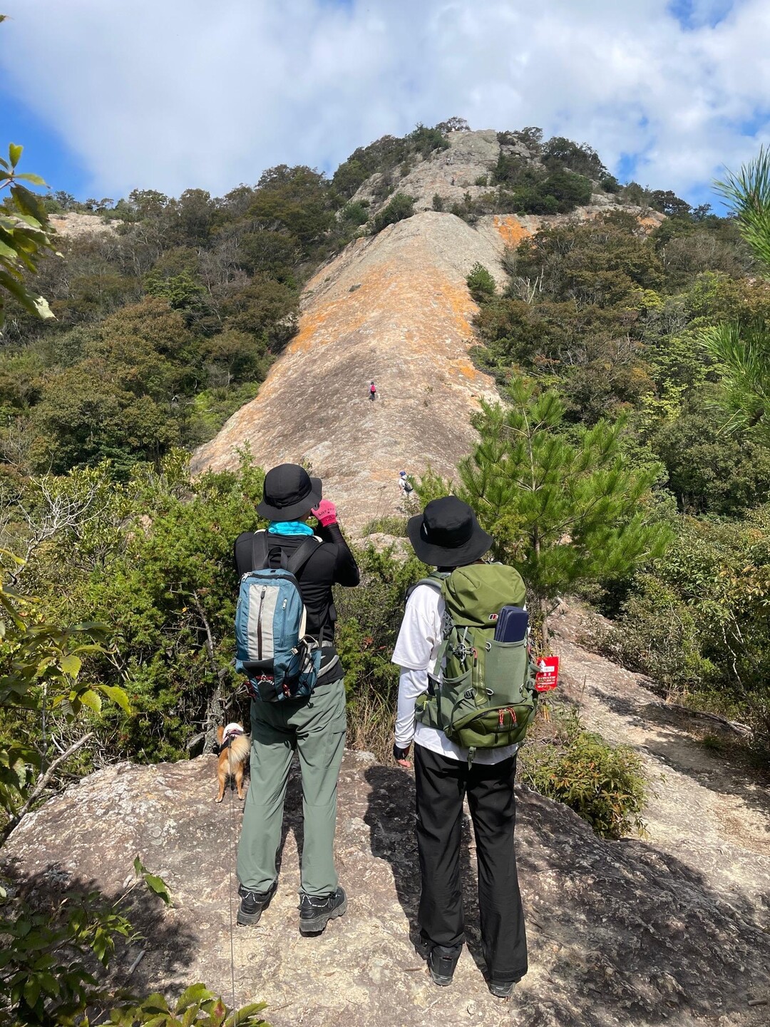 再び紅山⛰登れ豆太郎🐶 / daidaiさんの小野アルプス（紅山・惣山）の活動データ | YAMAP / ヤマップ