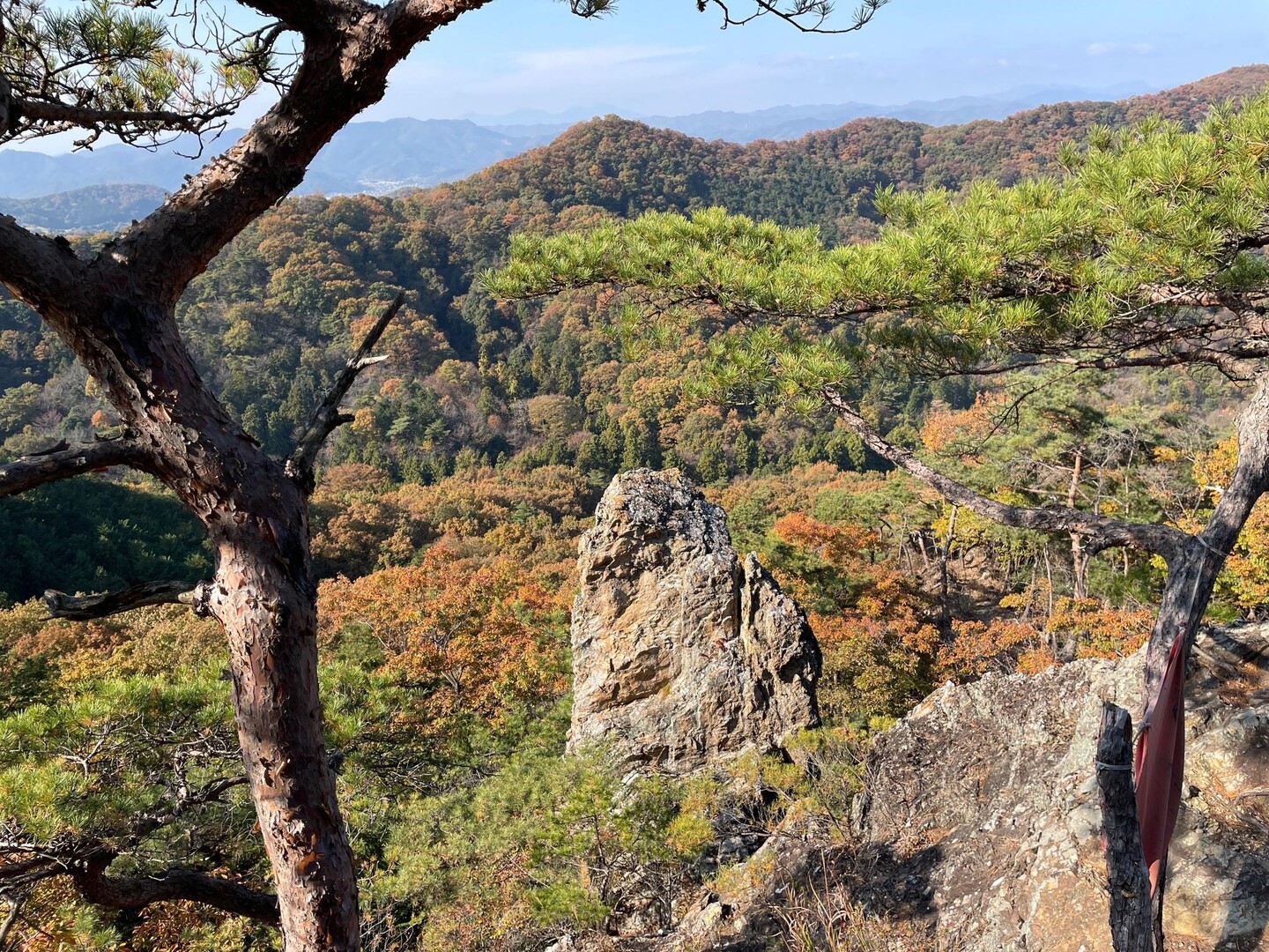 ota660さんの投稿したフィールドメモ | YAMAP / ヤマップ