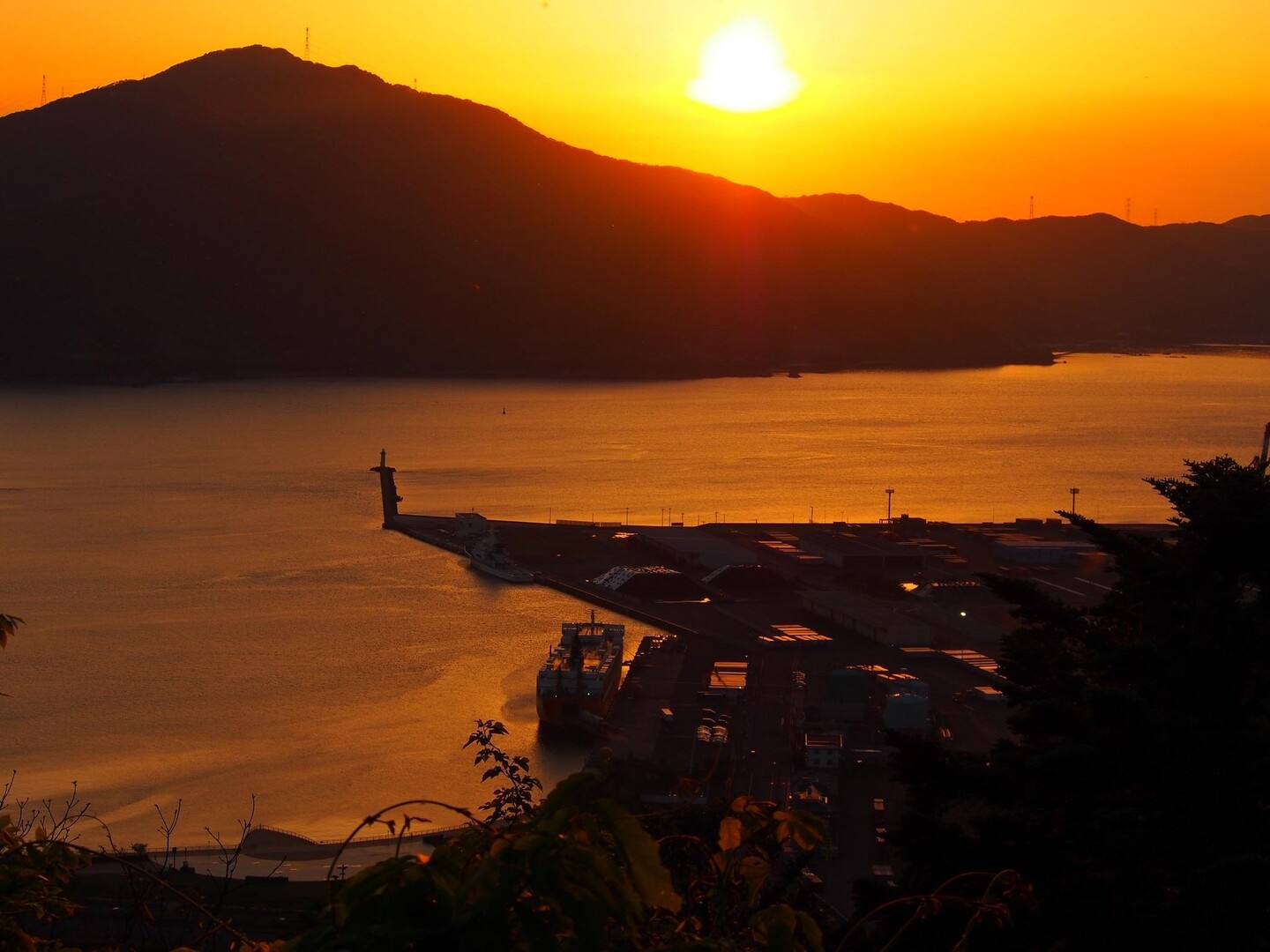 今日は汗ばむ天筒山 / miniさんの天筒山・中池見湿地の活動データ | YAMAP / ヤマップ