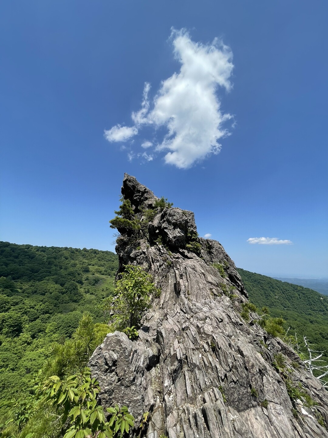 鳶岩 / mi-yaさんの医王山・白兀山・箱屋谷山の活動データ | YAMAP / ヤマップ