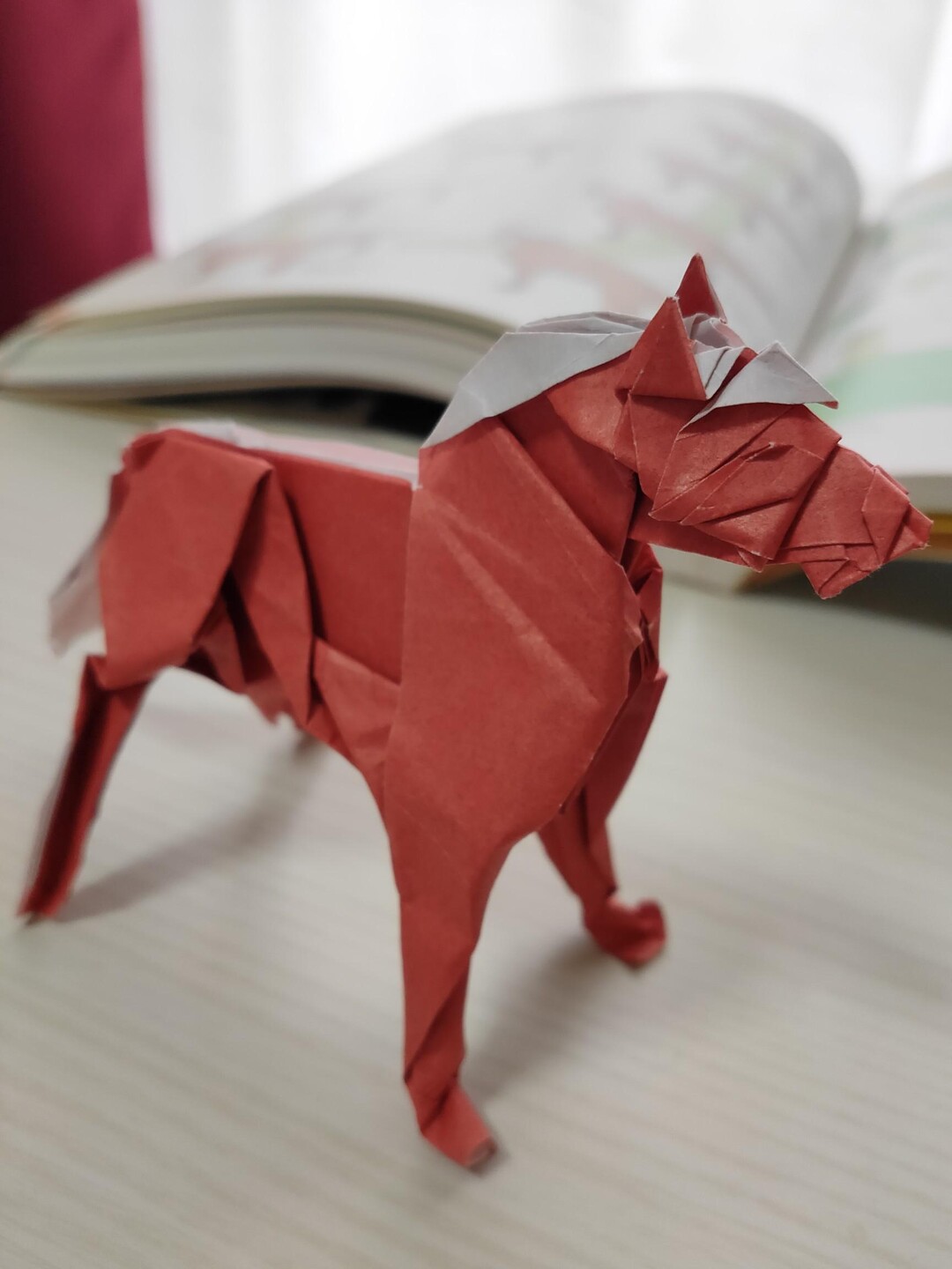 うま / tomoeさんのモーメント | YAMAP / ヤマップ