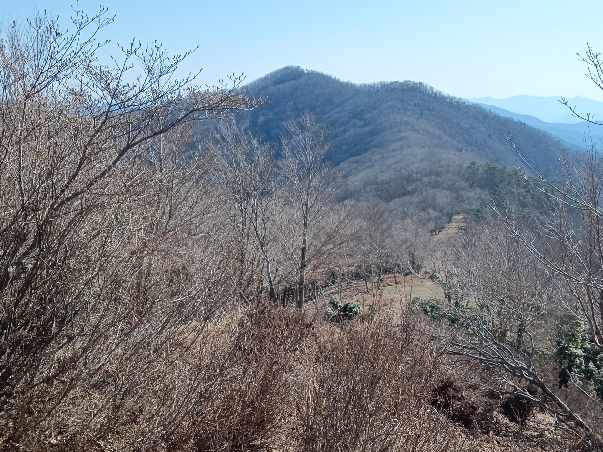 200名山、伯母子岳 / はらちゃんさんの伯母子岳の活動データ | YAMAP / ヤマップ
