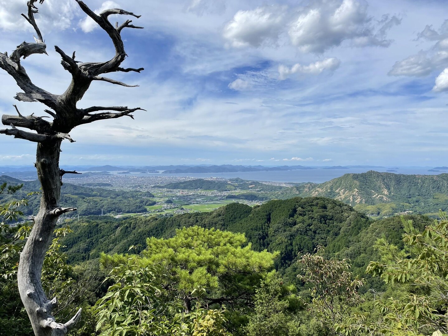 竜門山 / MABOさんの竜門山の活動データ | YAMAP / ヤマップ