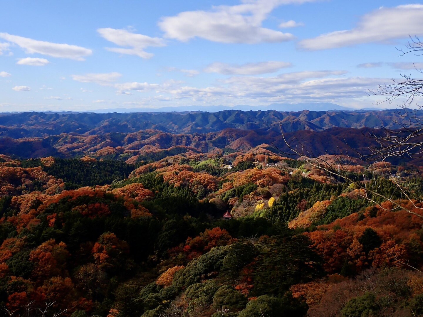 地割-2023-11-25 / SKさんの奥久慈男体山・月居山・篭岩（篭岩山）の活動データ | YAMAP / ヤマップ