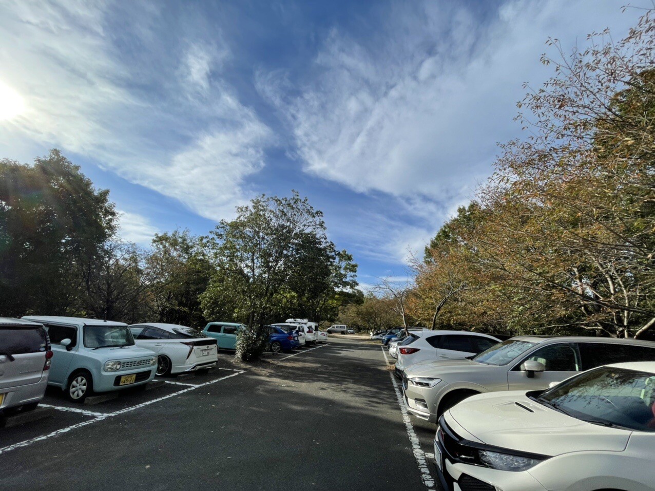 YS-153さんの投稿したフィールドメモ | YAMAP / ヤマップ