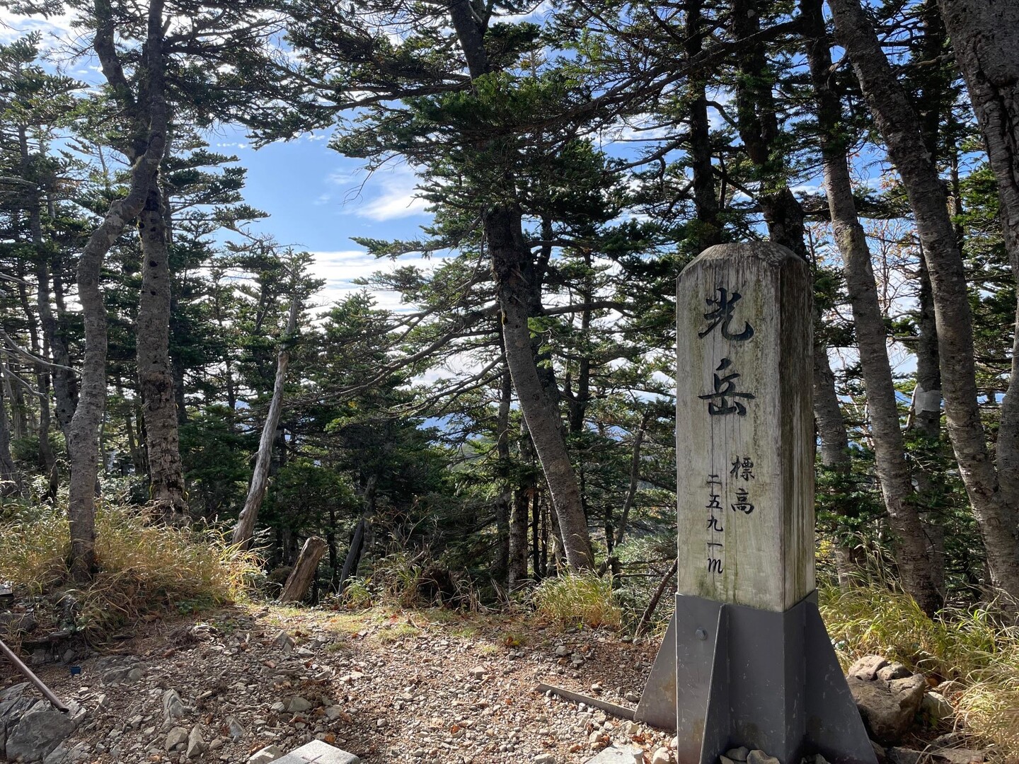 光岳・易老岳・イザルガ岳 / Ito_sanさんの聖岳・大沢岳・光岳の活動データ | YAMAP / ヤマップ