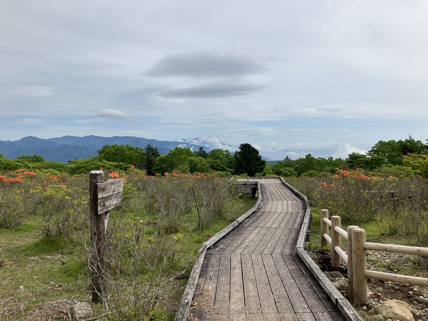 朝散歩〜♪ / 727Kさんのモーメント | YAMAP / ヤマップ