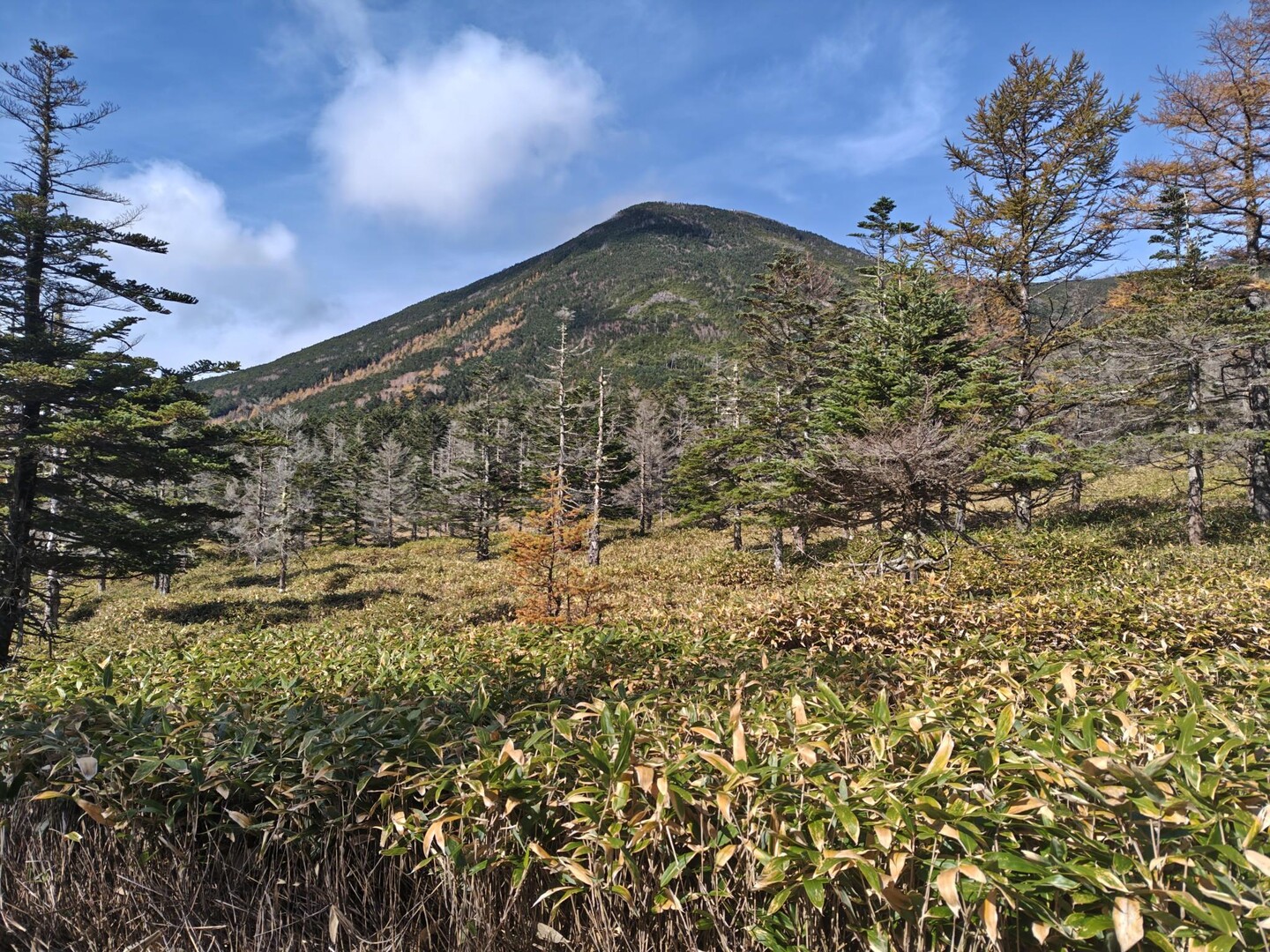 蓼科山・北横岳241027 / ドカベソさんの蓼科山・横岳・縞枯山の活動日記 | YAMAP / ヤマップ