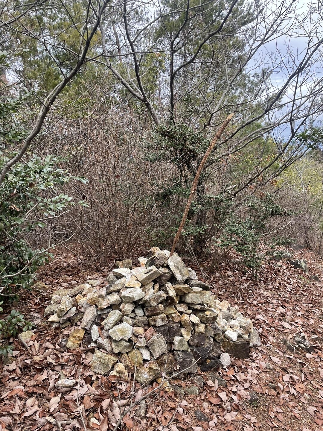 asimkさんの投稿したフィールドメモ | YAMAP / ヤマップ