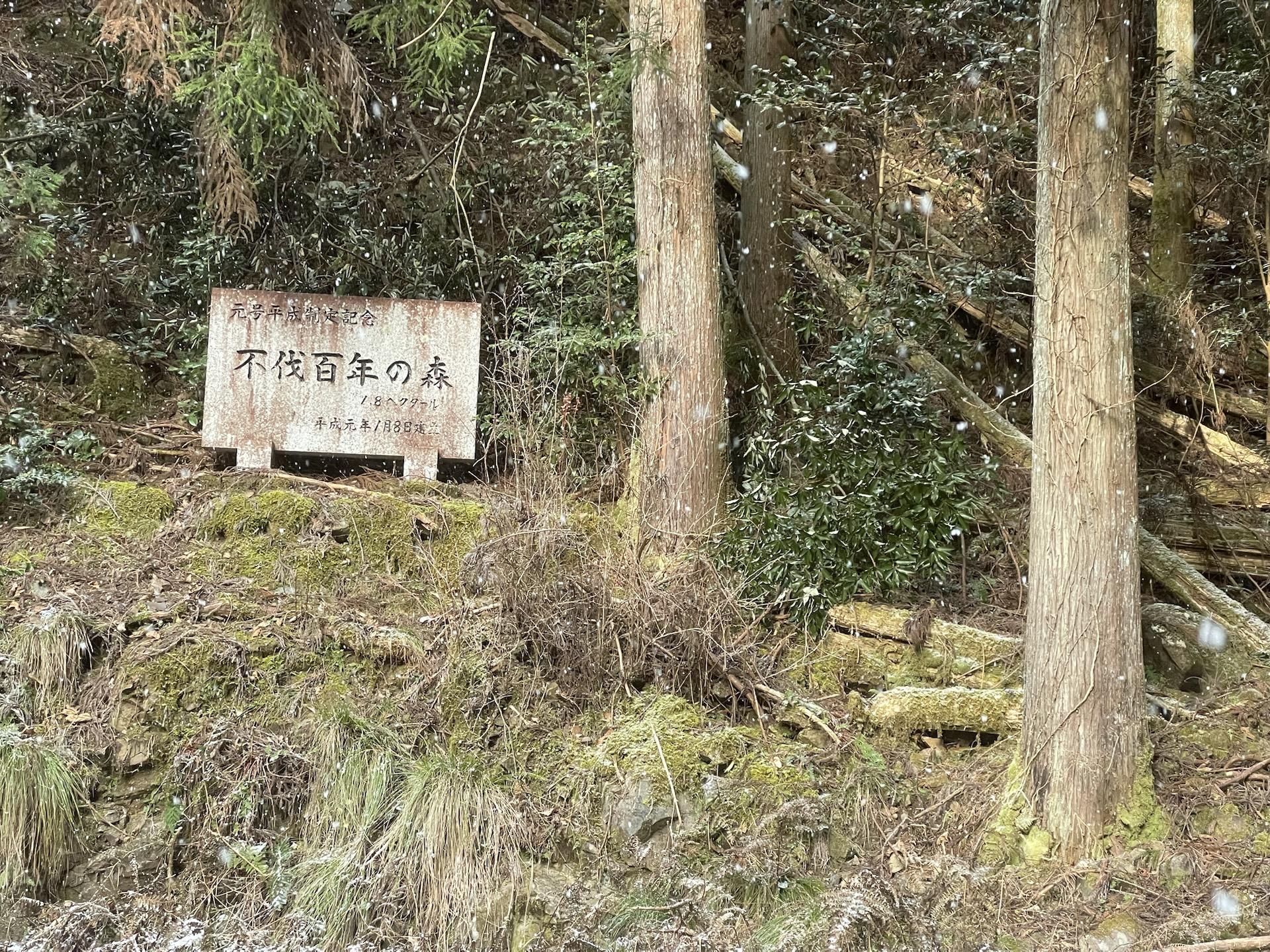 平成山・平洞・高曝山 / 低山徘徊者さんの高沢山・平成山・高曝山の活動日記 | YAMAP / ヤマップ