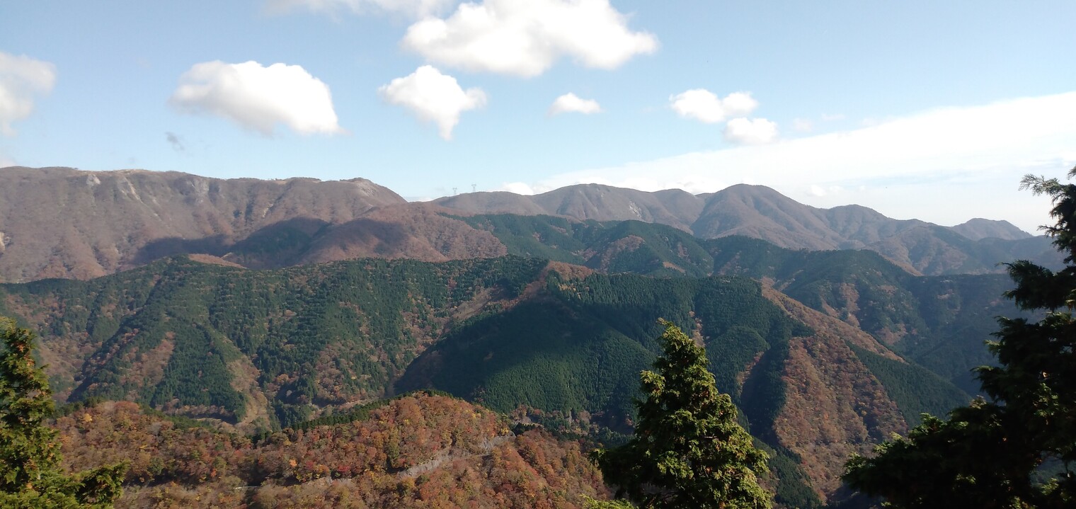 天狗堂-P924-サンヤリ-岩尾谷登山口-君ヶ畑バス停 周回コースの地図・登山ルート・登山口情報 | YAMAP / ヤマップ