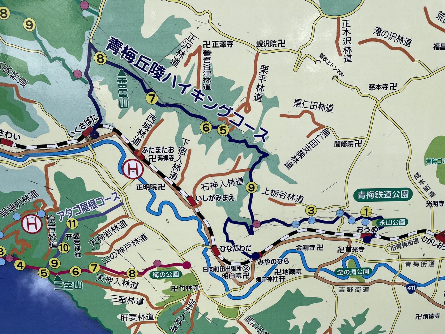 青梅丘陵ハイキングコース / Shinoさんの高水山・岩茸石山・惣岳山の活動データ | YAMAP / ヤマップ