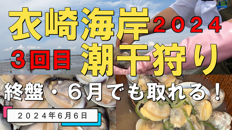 今年最後の？潮干狩り動画です♪ http... / Kyoheiさんのモーメント | YAMAP / ヤマップ