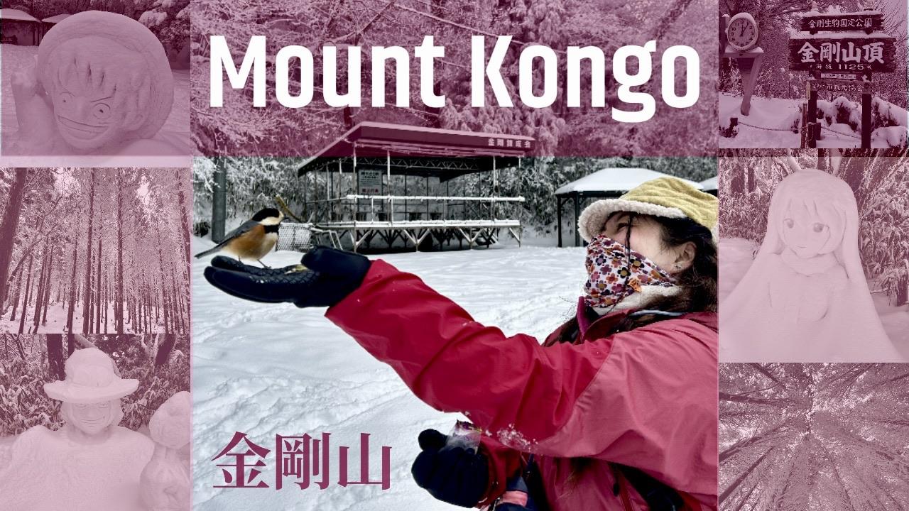 金剛山⏯️ https://youtu.... / Nandoさんのモーメント | YAMAP / ヤマップ