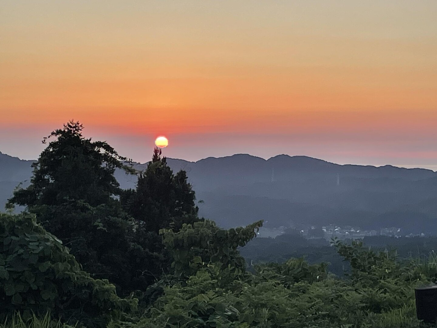 城山 / megさんの時水城山・丸山の活動データ | YAMAP / ヤマップ