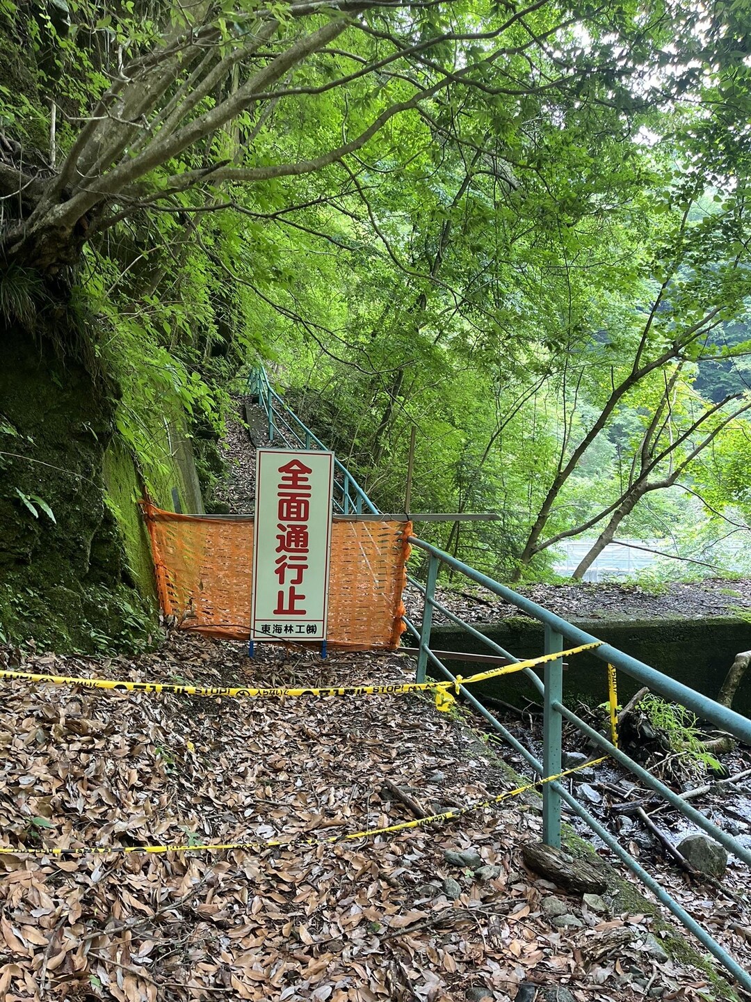 西丹沢／用木沢出合〜犬越路の通行止めが6... / Junさんのモーメント | YAMAP / ヤマップ