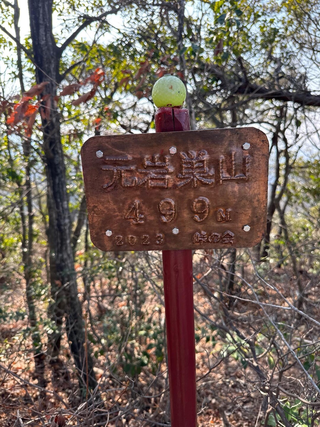今年初の元岩巣山・岩巣山⛰️ / atsuさんの岩巣山・三国山・折平山の活動データ | YAMAP / ヤマップ