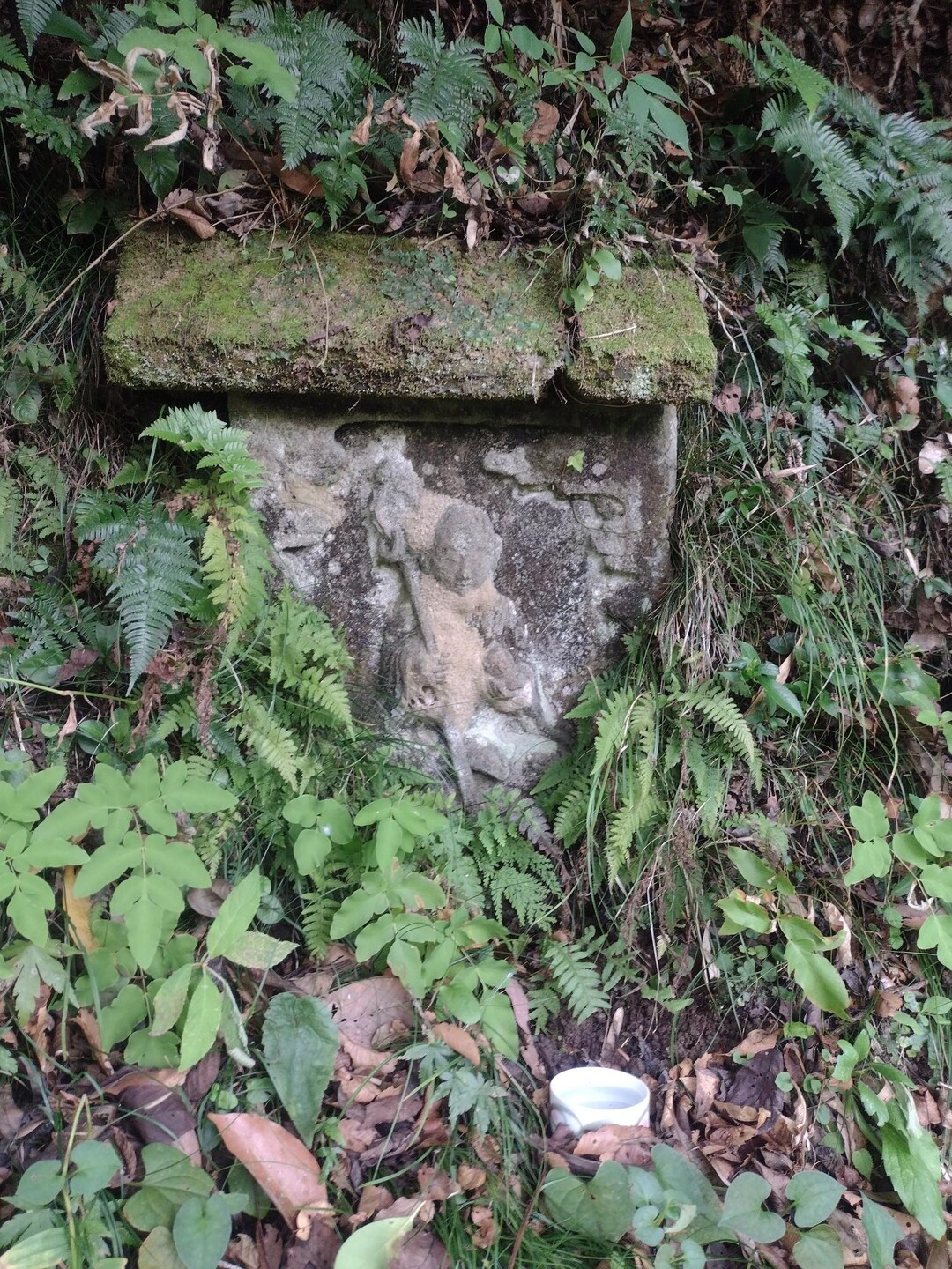 三舟山郡ダム三舟山 / my-kyさんの三舟山の活動データ | YAMAP / ヤマップ