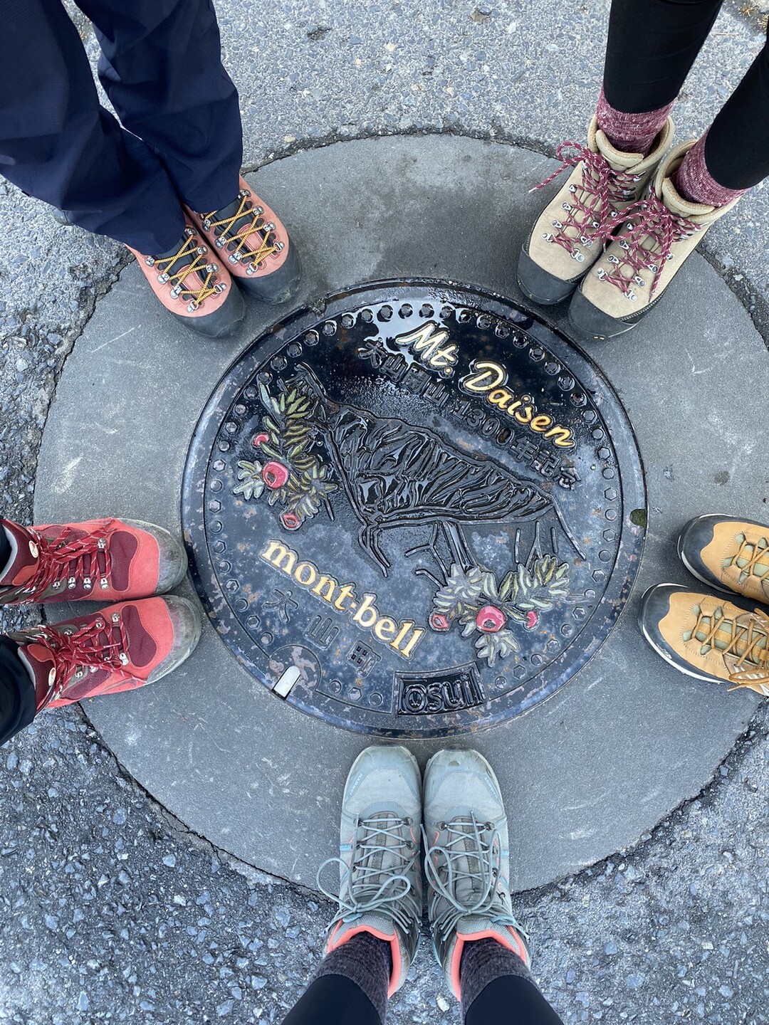 大山（弥山） / miryuさんの大山・甲ヶ山・野田ヶ山の活動データ | YAMAP / ヤマップ