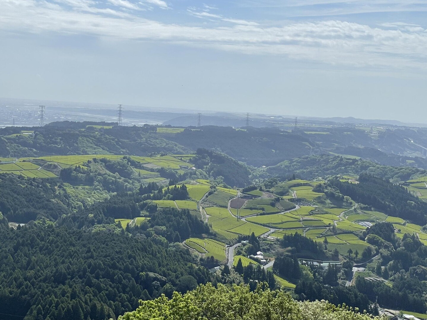 粟トレ🍃 / nk-poohさんの粟ヶ岳の活動データ | YAMAP / ヤマップ