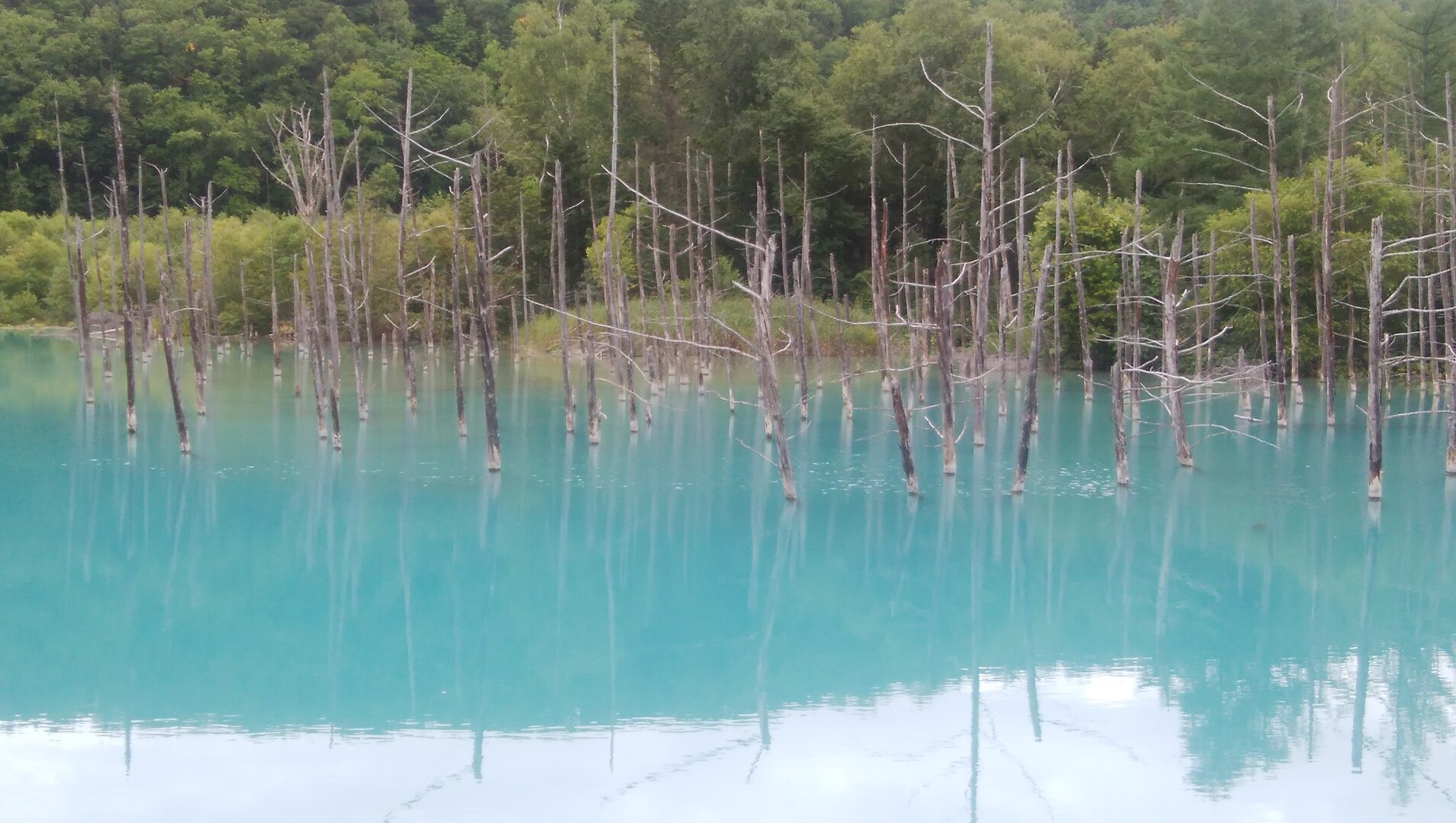 Kiyoshiのページ | YAMAP / ヤマップ