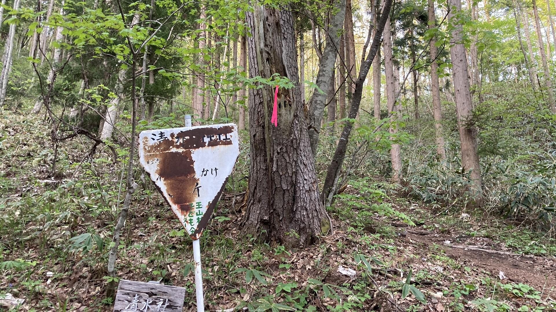 姫神山 / eijiさんの姫神山の活動データ | YAMAP / ヤマップ