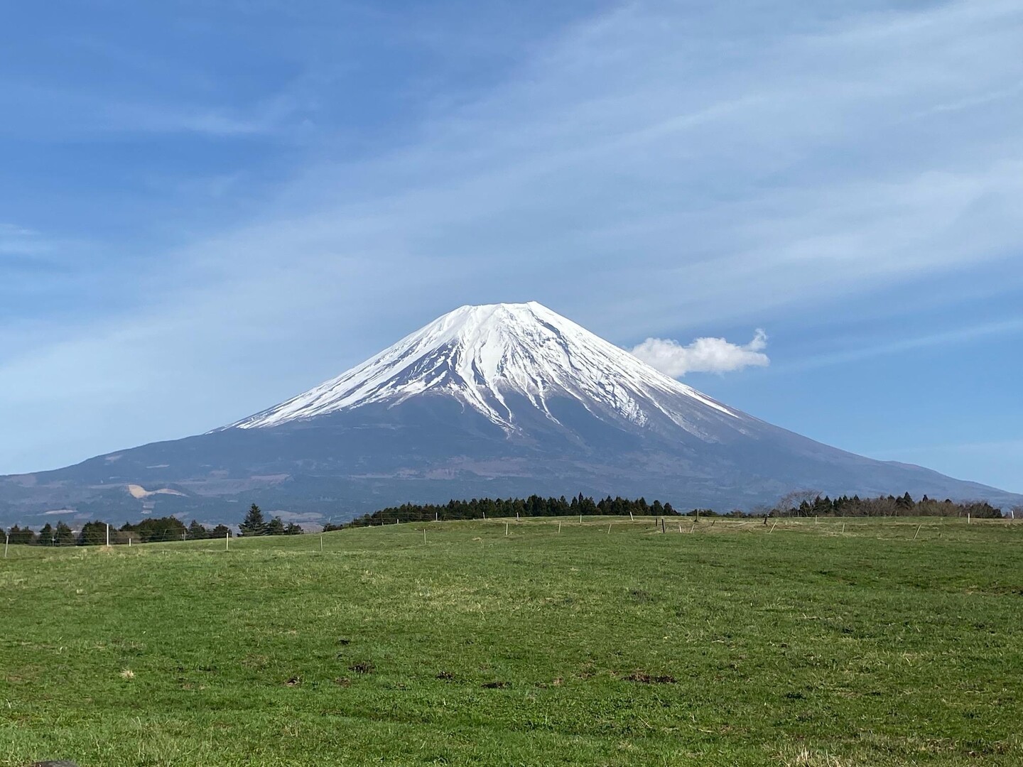 竜ヶ岳〜毛無山 富士山の大絶景🏔️ / hassyさんの毛無山・雨ヶ岳・竜ヶ岳の活動データ | YAMAP / ヤマップ