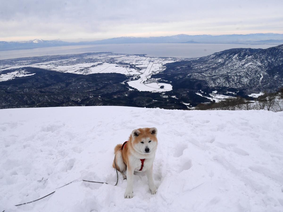 蛇谷ヶ峰 / megすけさんの蛇谷ヶ峰の活動データ | YAMAP / ヤマップ