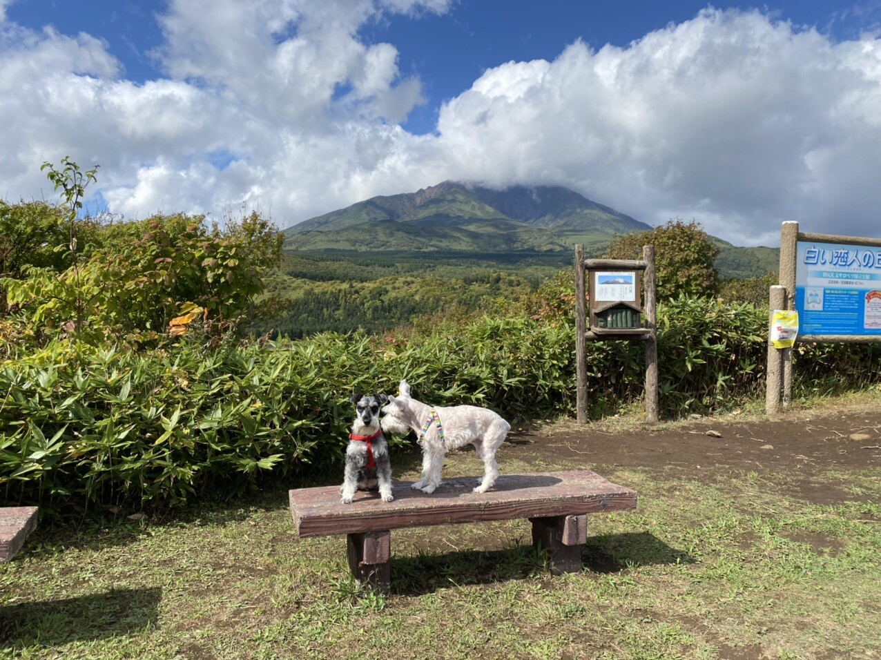 Bii and baby Guun @ ... / BiiGuunさんのモーメント | YAMAP / ヤマップ