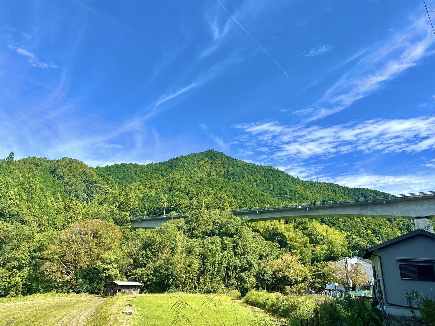 ジルミの頭のジルミって何よ 🤣🤣🤣 / mioさんの岩湧山・一徳防山・三石山の活動データ | YAMAP / ヤマップ