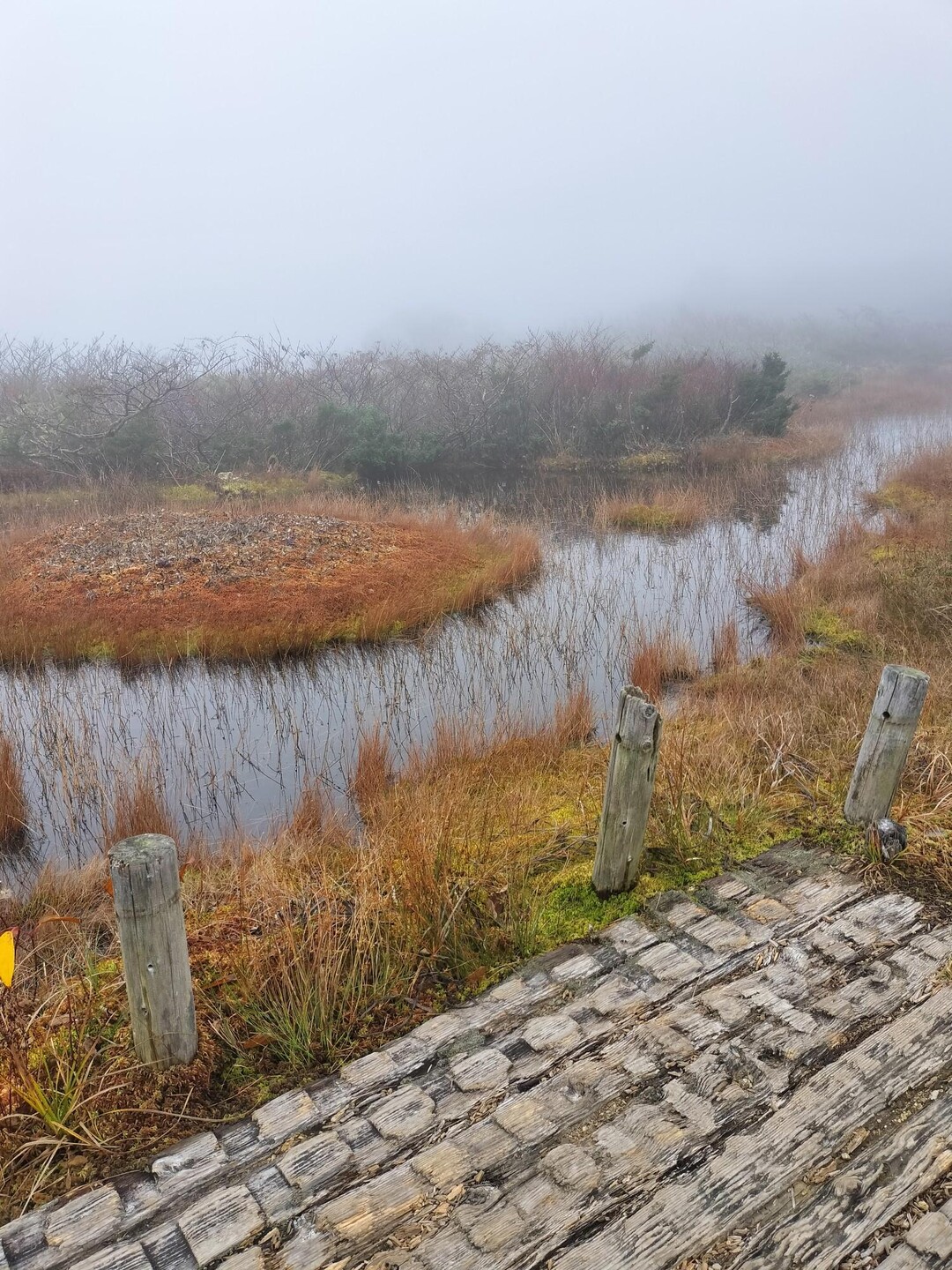 赤兎山（3） / ヤマコウさんの赤兎山・猪鼻山の活動データ | YAMAP / ヤマップ