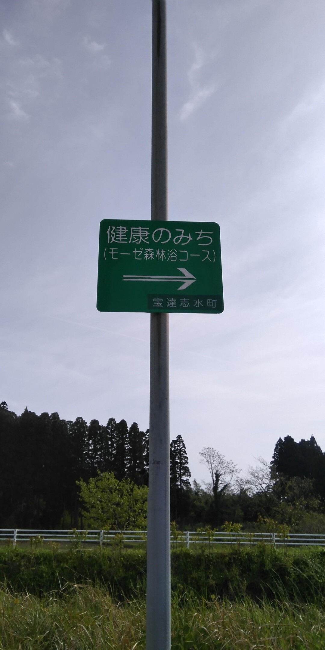 宝達山付近のウォーキング / LaLaさんのウォーキングの活動データ | YAMAP / ヤマップ