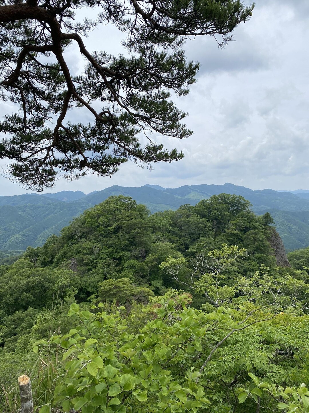 鍋足山 / wariさんの鍋足山の活動データ | YAMAP / ヤマップ