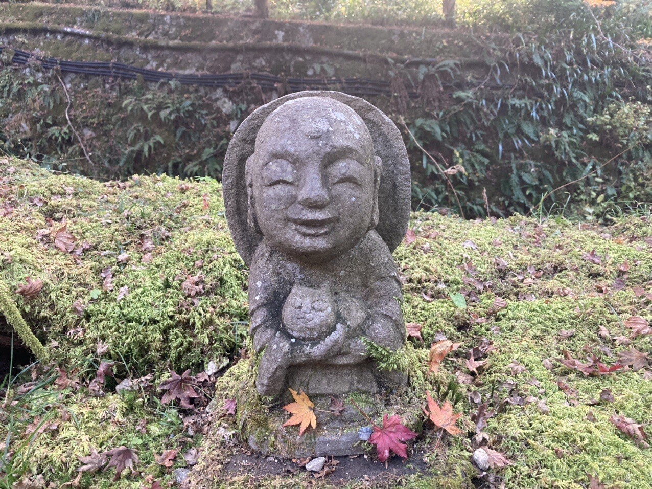 京都一周トレイル③北山7から 横高山・水井山 おまけ大原三千院 / あきbeeさんの京都一周トレイルの活動データ | YAMAP / ヤマップ