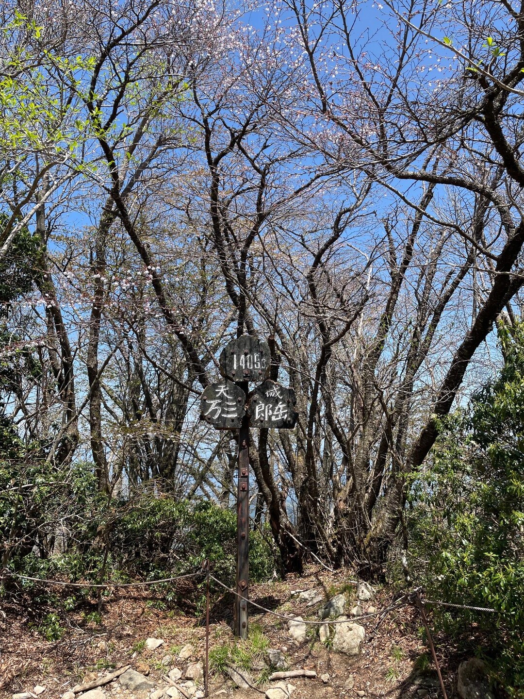 天城山2 / HNさんの天城山・鉢ノ山・三筋山の活動データ | YAMAP / ヤマップ