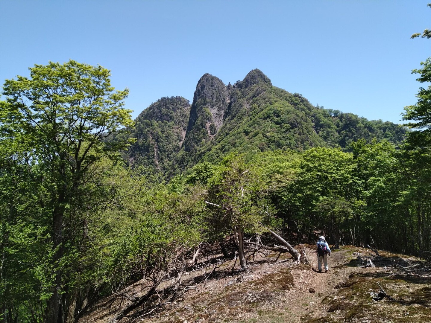 傾山 / h.bloodさんの傾山の活動データ | YAMAP / ヤマップ