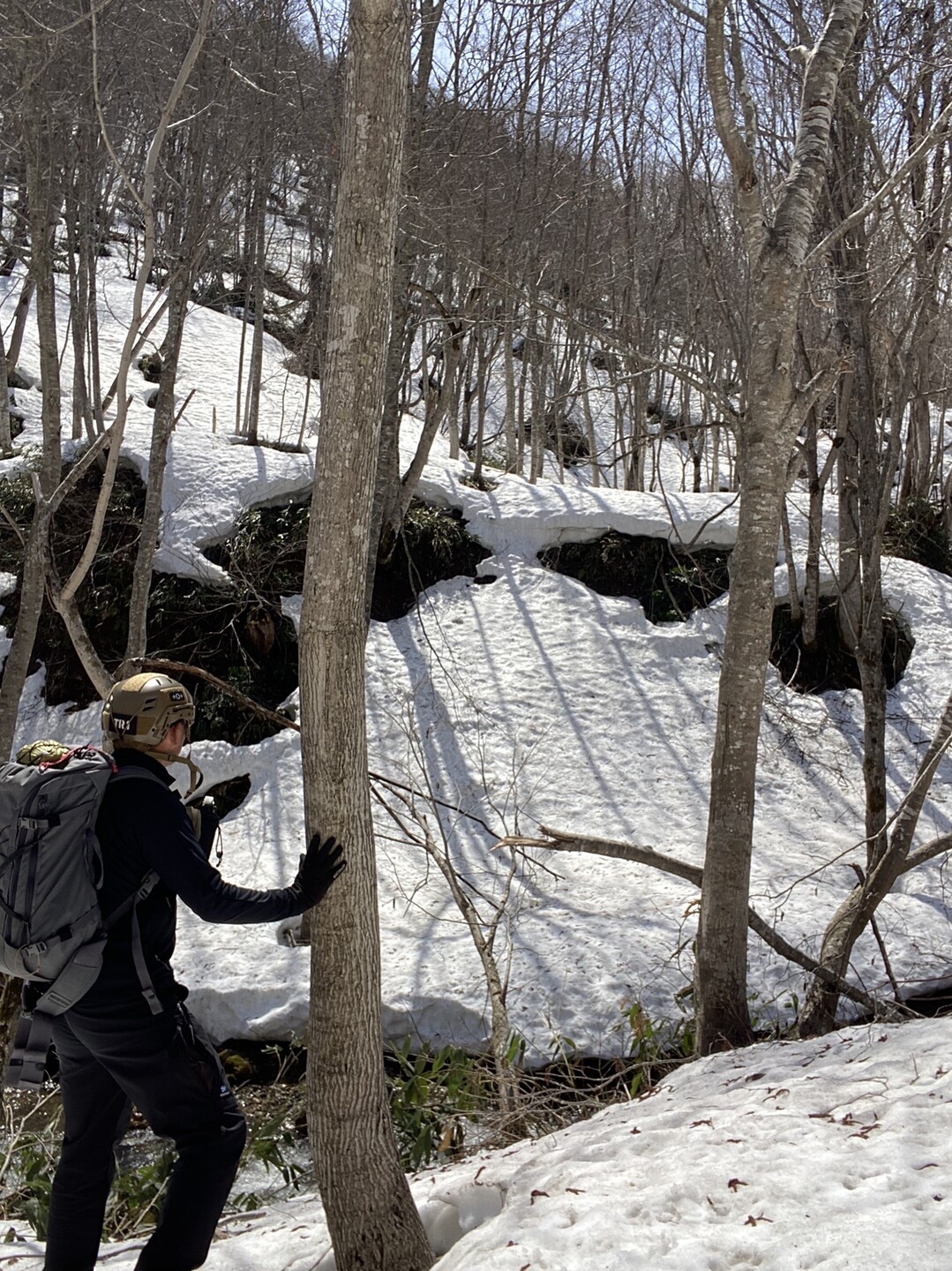 三角山を無事下山しました ️ / YUKIさんのモーメント | YAMAP / ヤマップ
